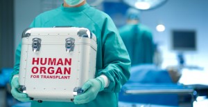 Doctors Try a Controversial Technique to Reduce the Transplant Organ ...