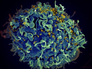 This drug is the ‘breakthrough of the year’ — and it could mean the end ...